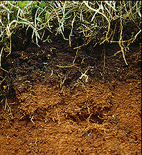 Function of Structure - Oz Soils 4