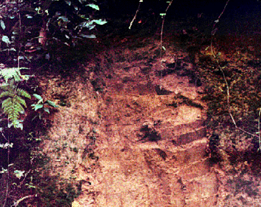 Leaching - Oz Soils 4