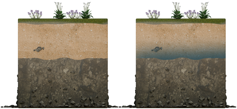 Waterlogging & Iron Mobilisation - Oz Soils 4