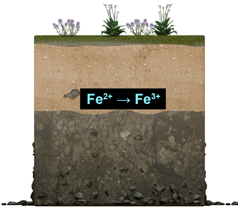 Waterlogging & Iron Mobilisation - Oz Soils 4