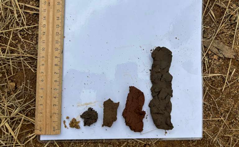 Field Texture - Oz Soils 4