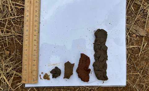 Field Texture - Oz Soils 4