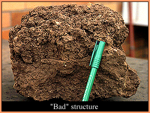 Soil structure in the field - Oz Soils 4