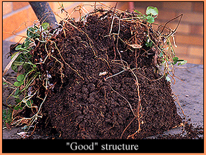 Soil structure in the field - Oz Soils 4