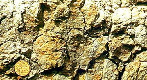 Soil structure in the field - Oz Soils 4