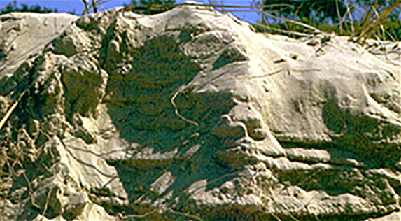 Soil structure in the field - Oz Soils 4