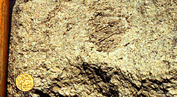 Soil structure in the field - Oz Soils 4