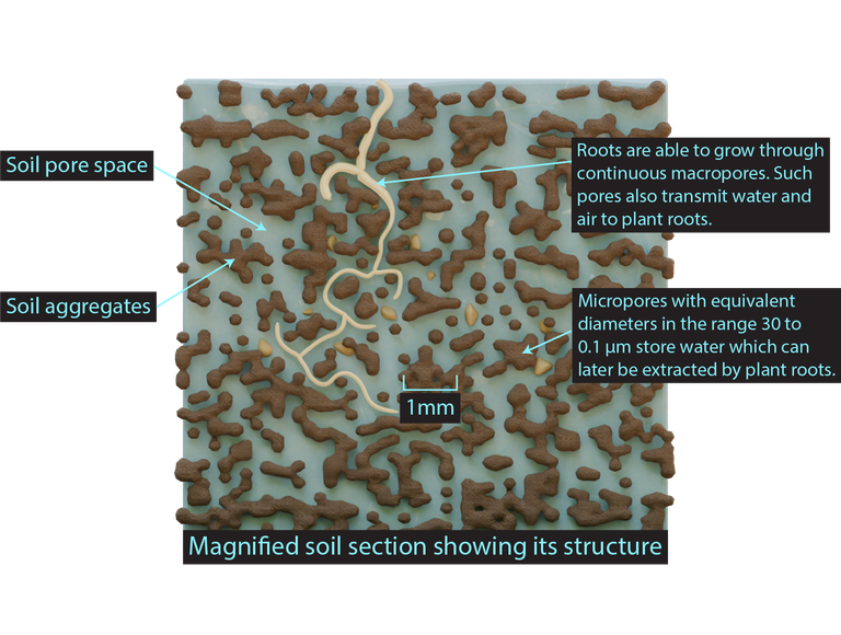 Soil structure in the field - Oz Soils 4
