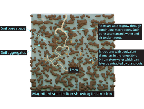Soil structure in the field - Oz Soils 4