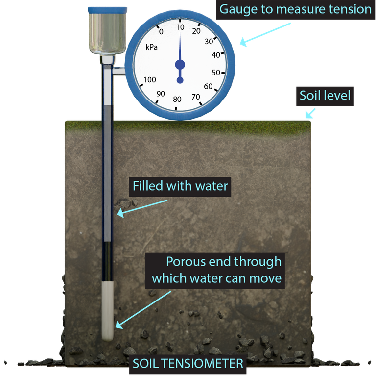 Water Potential - Oz Soils 4
